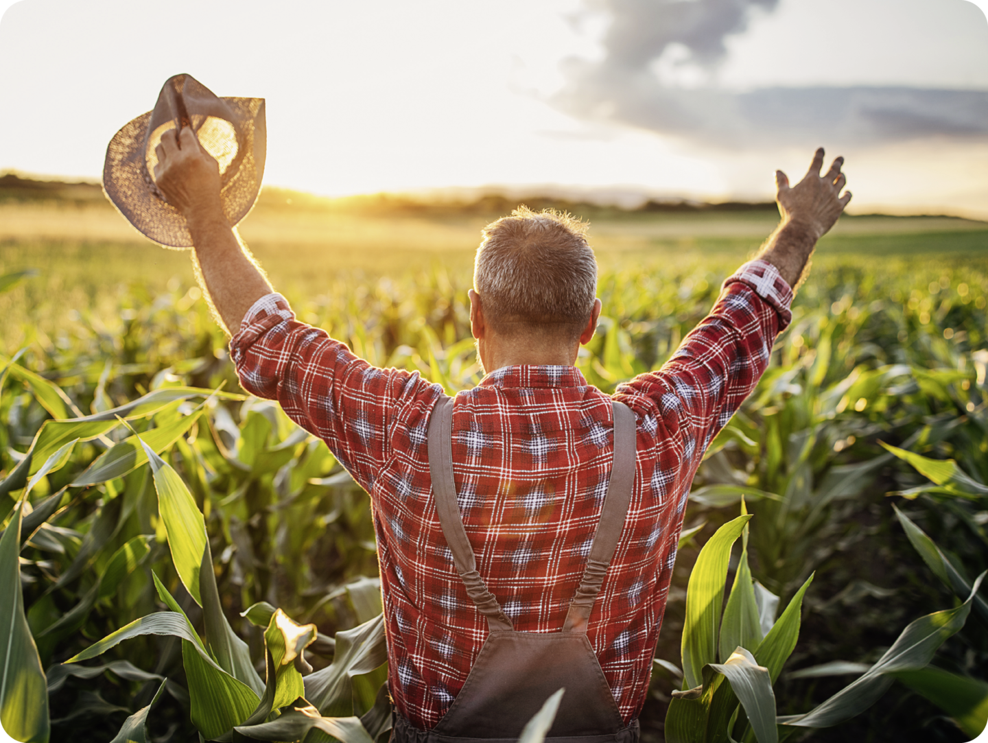 Ihr Supermarkt in Stuttgart | HIT - Echte Vielfalt.