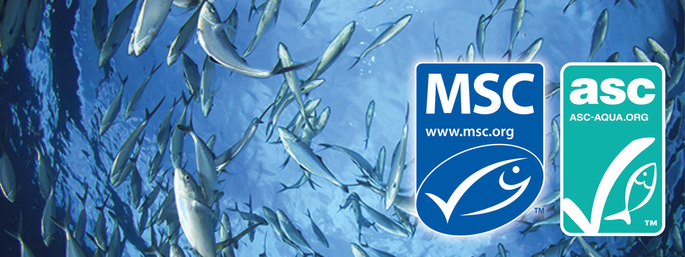 Zerifizierte Qualität | Verantwortung | HIT